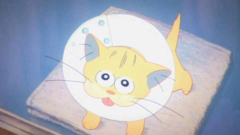 Ghost Cat Anzu Anime Film's Opening Previewed – Anime Store Pakistan